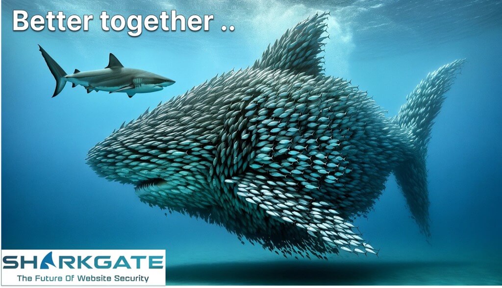 Privacy policy and cookies